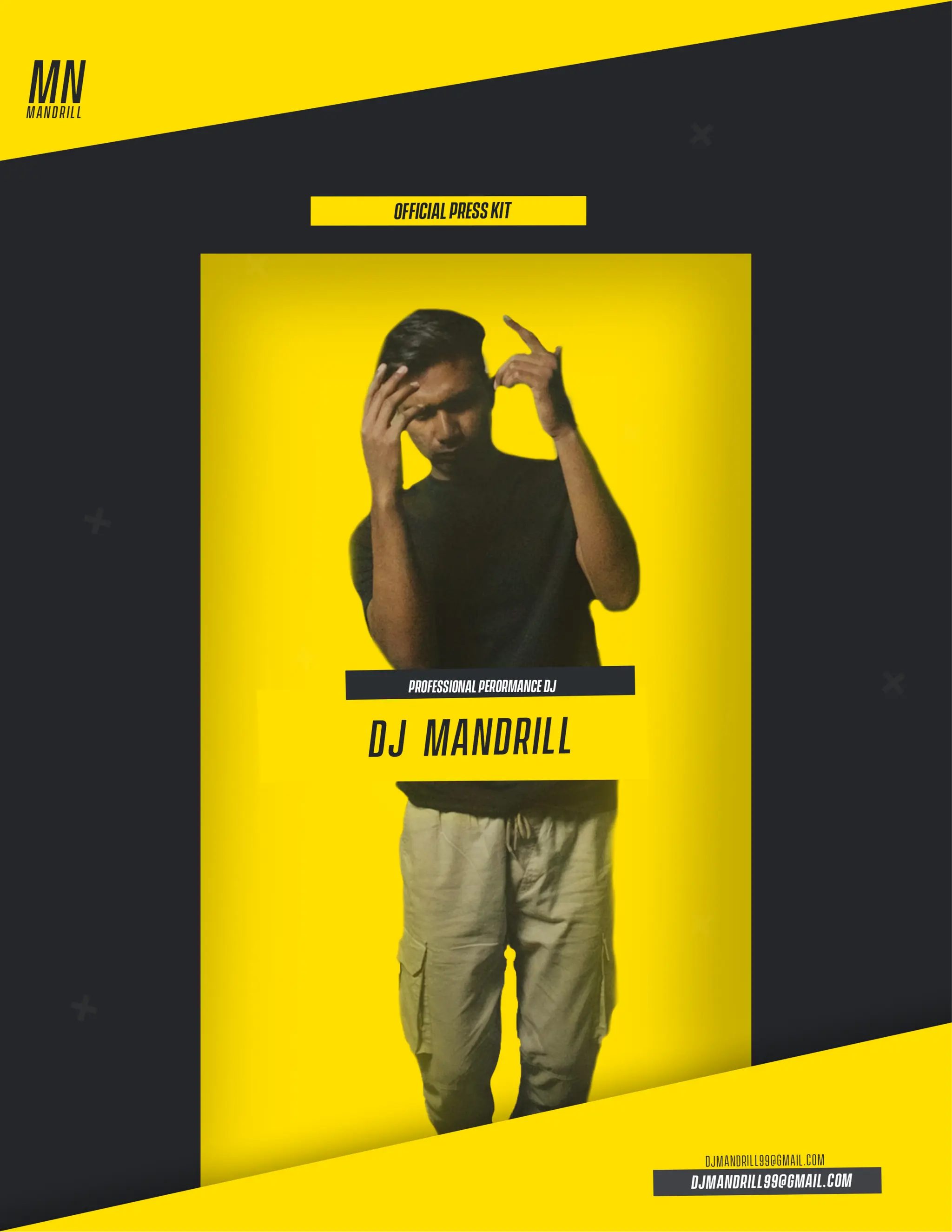 Profile of a dj artist that play very well | PDF