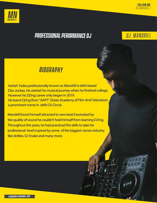 Profile of a dj artist that play very well | PDF