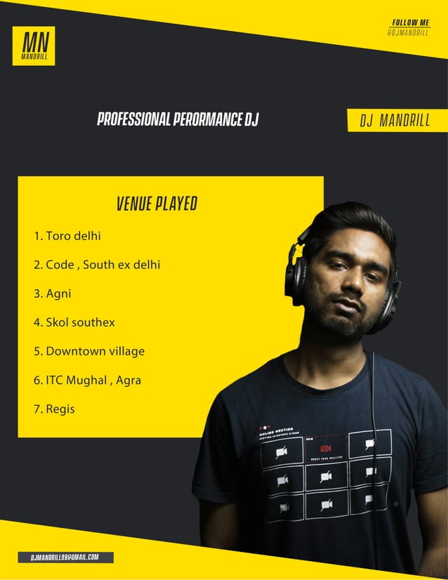 Profile of a dj artist that play very well | PDF