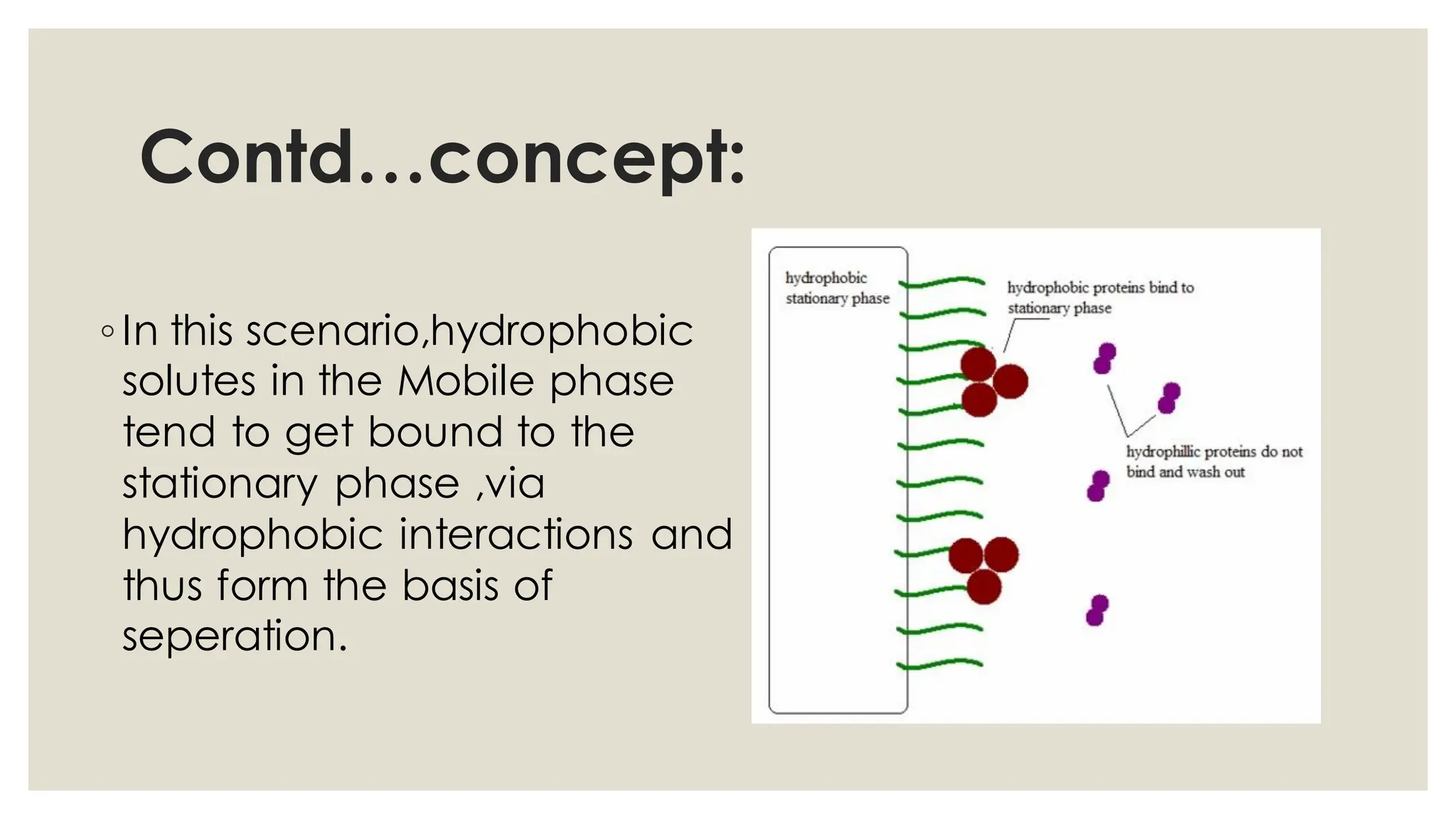 "Reverse Phase Chromatography Demystified: Theory, Techniques, and ...