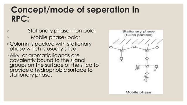"Reverse Phase Chromatography Demystified: Theory, Techniques, and ...