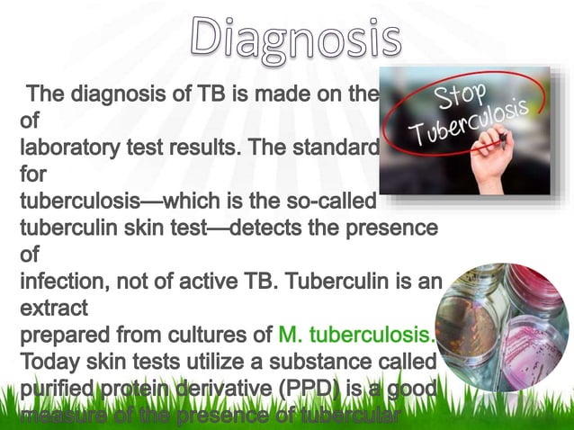 TB PRESENTATION | PPTX | Lung and Respiratory Health | Diseases and ...