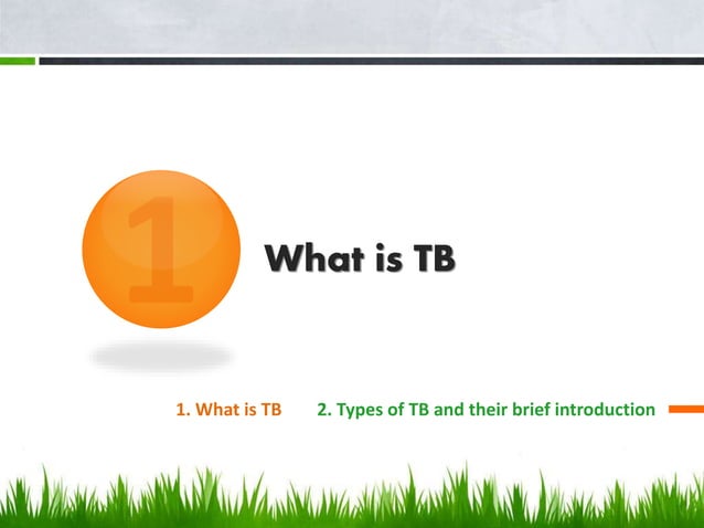 TB PRESENTATION | PPTX | Lung and Respiratory Health | Diseases and ...