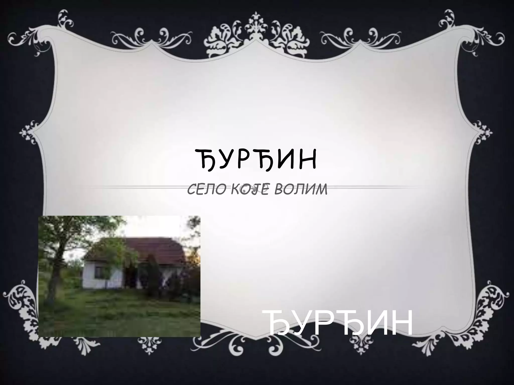 Djurdjin.ljiljana | PPT