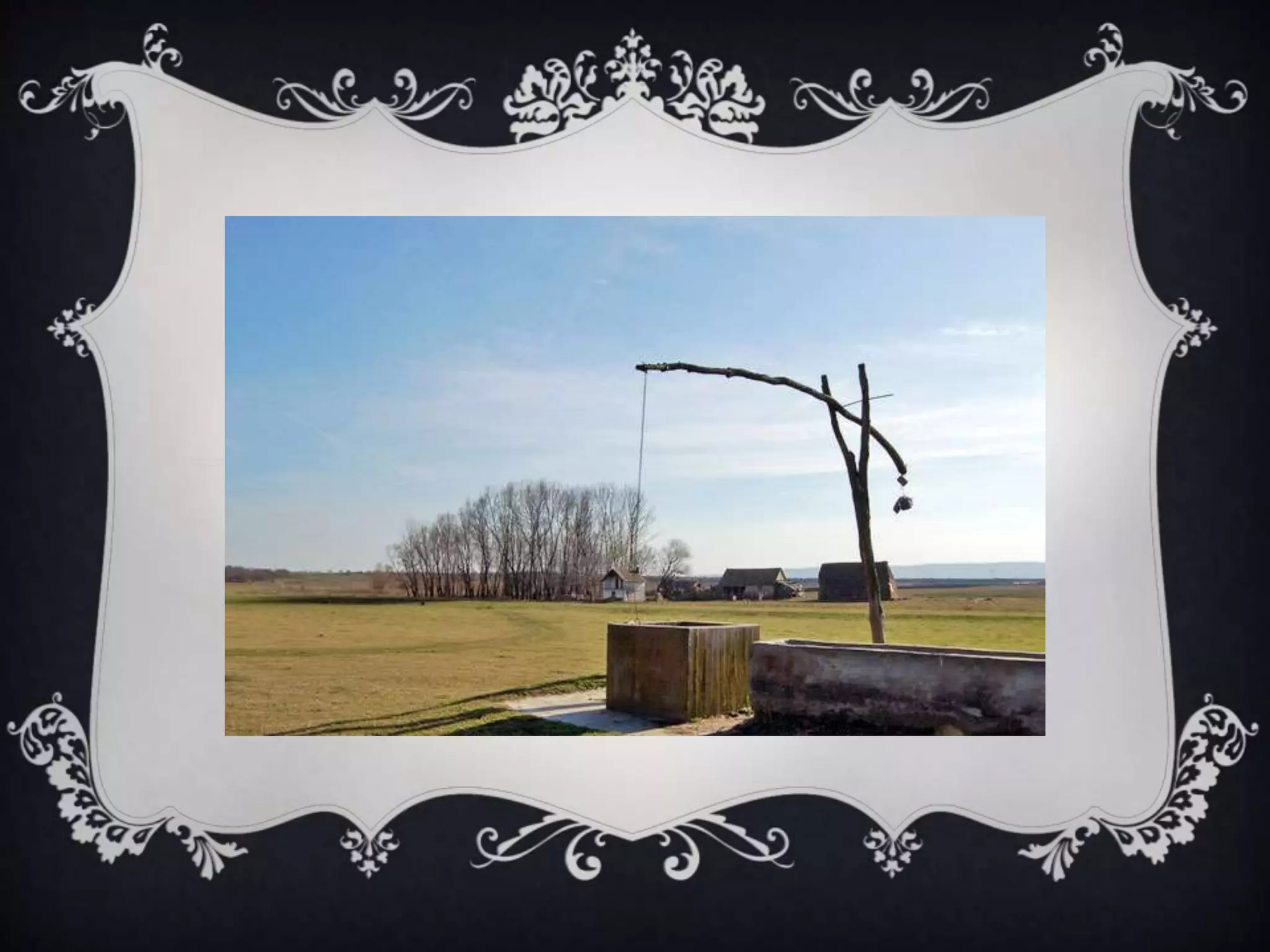 Djurdjin.ljiljana | PPT