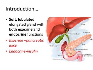 ANATOMY OF PANCREAS | PPTX