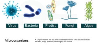 bacteria, fungi, protozoa, microalgae, and viruses | PDF