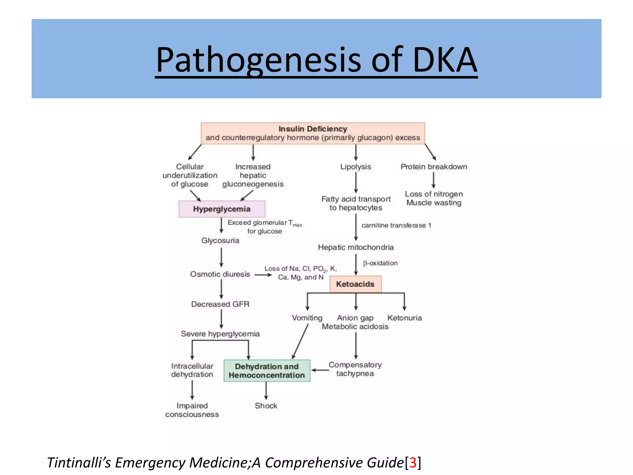 Diabetic Keto Acidosis | PPTX