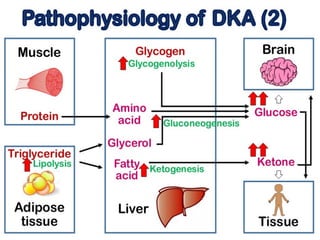 DKA .pdf