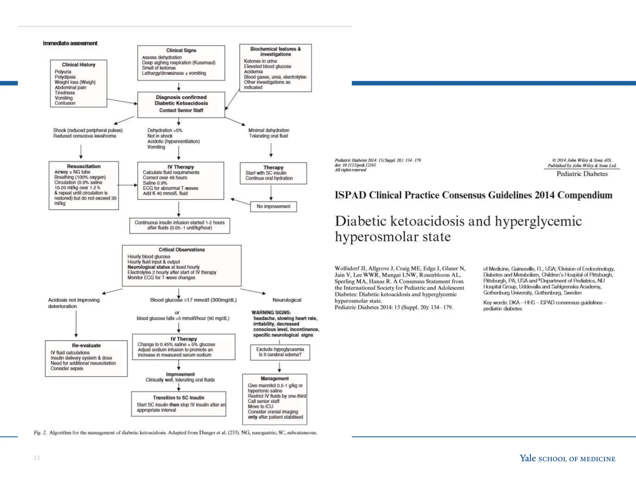 Pediatric Diabetic Keto Acidosis-for-PEM.pptx