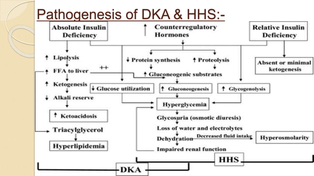 diabetic ketoacidosis-hhs by abdul aziz (1).pptx