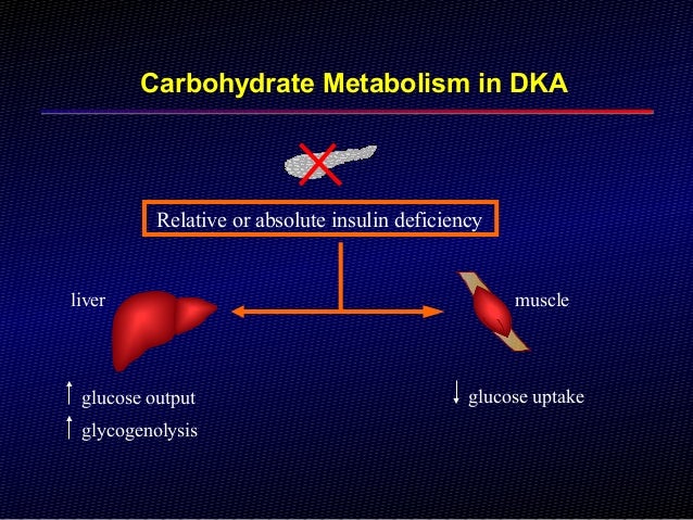 Dka pathphysiologymanagement2014-copy-140202235658-phpapp02
