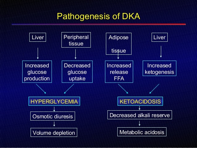 Dka pathphysiologymanagement2014-copy-140202235658-phpapp02