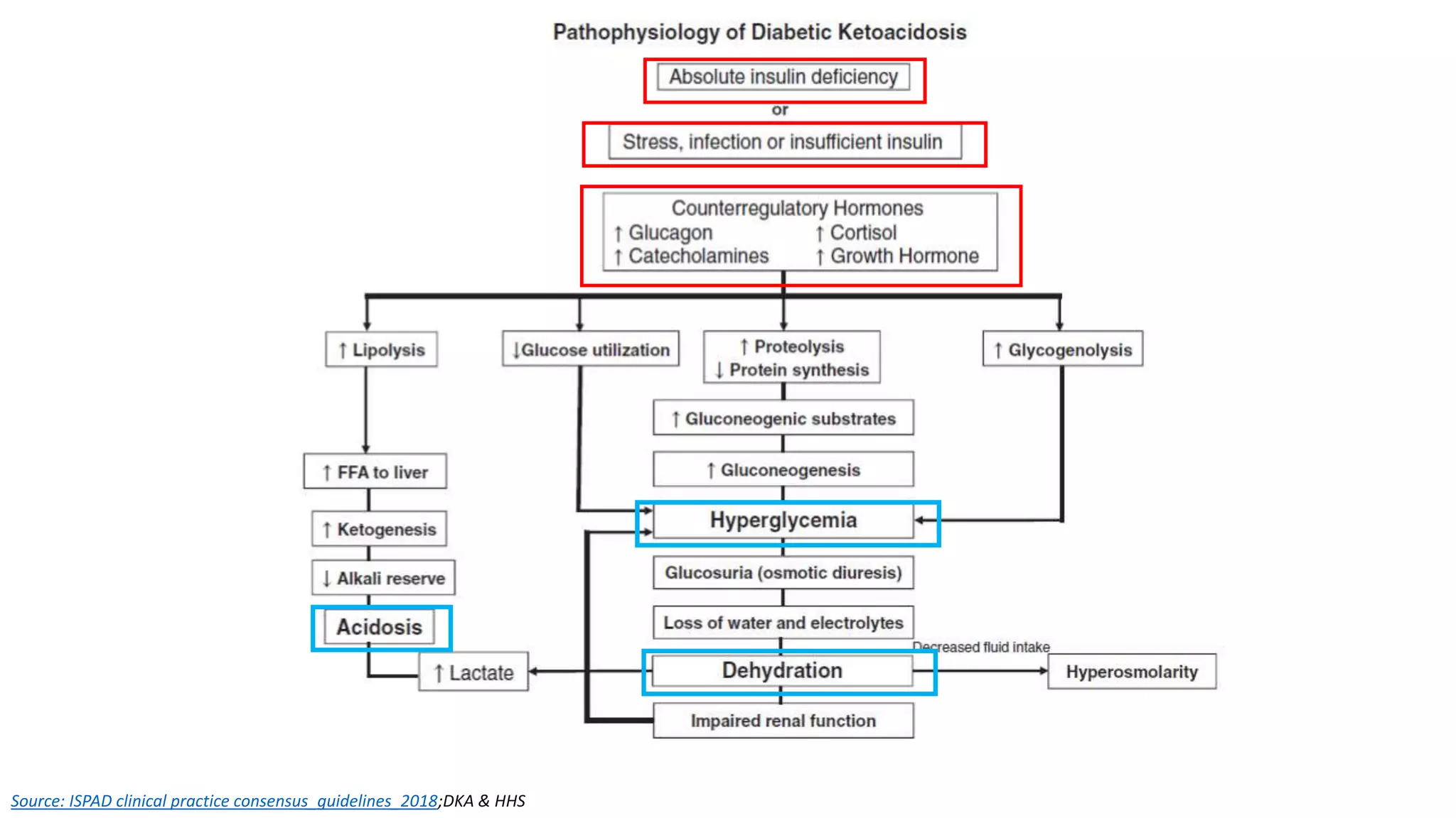 DIABETIC KETOACIDOSIS IN CHILDREN by Dr.Gobinda | PPTX