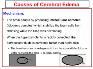 Diabetic Ketoacidosis dr salah mabrouk | PPT