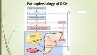 Diabetic Ketoacidosis Management Guideline.pptx