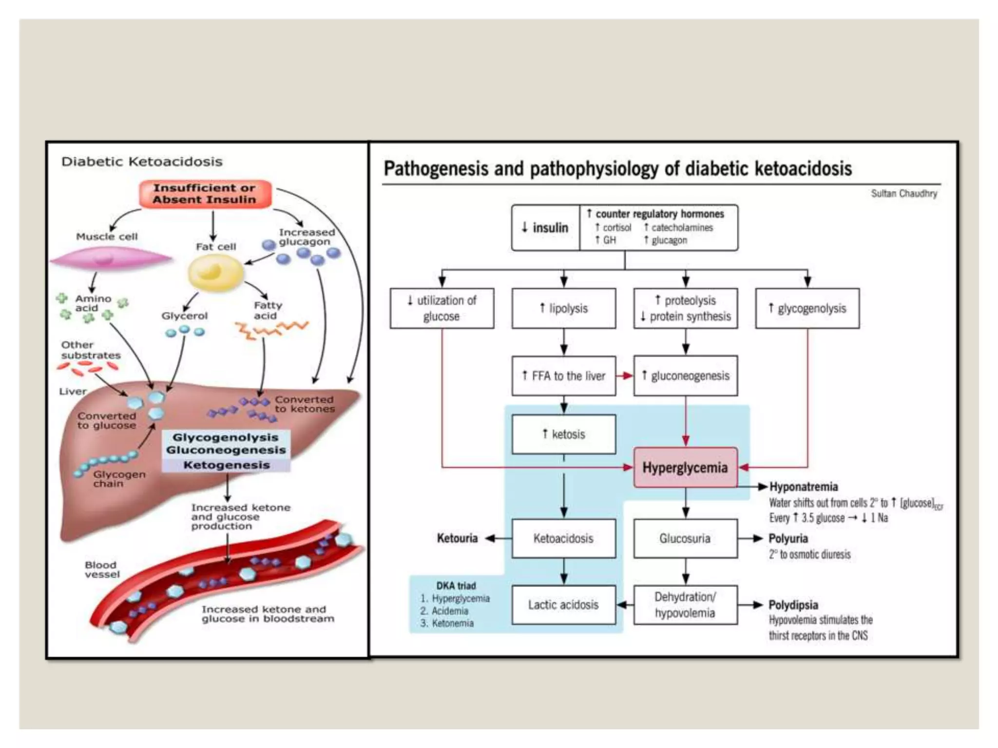 Dka and HHS pptx | PPTX
