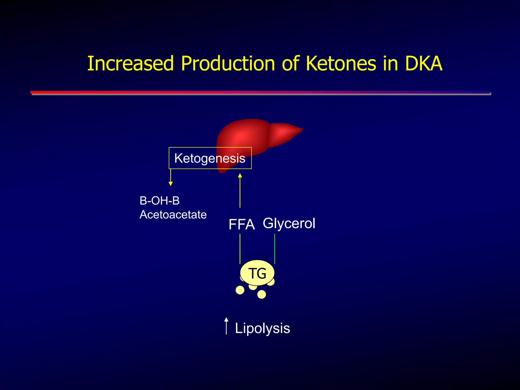 DIABETIC KETOACIDOSIS IN ER | PPT