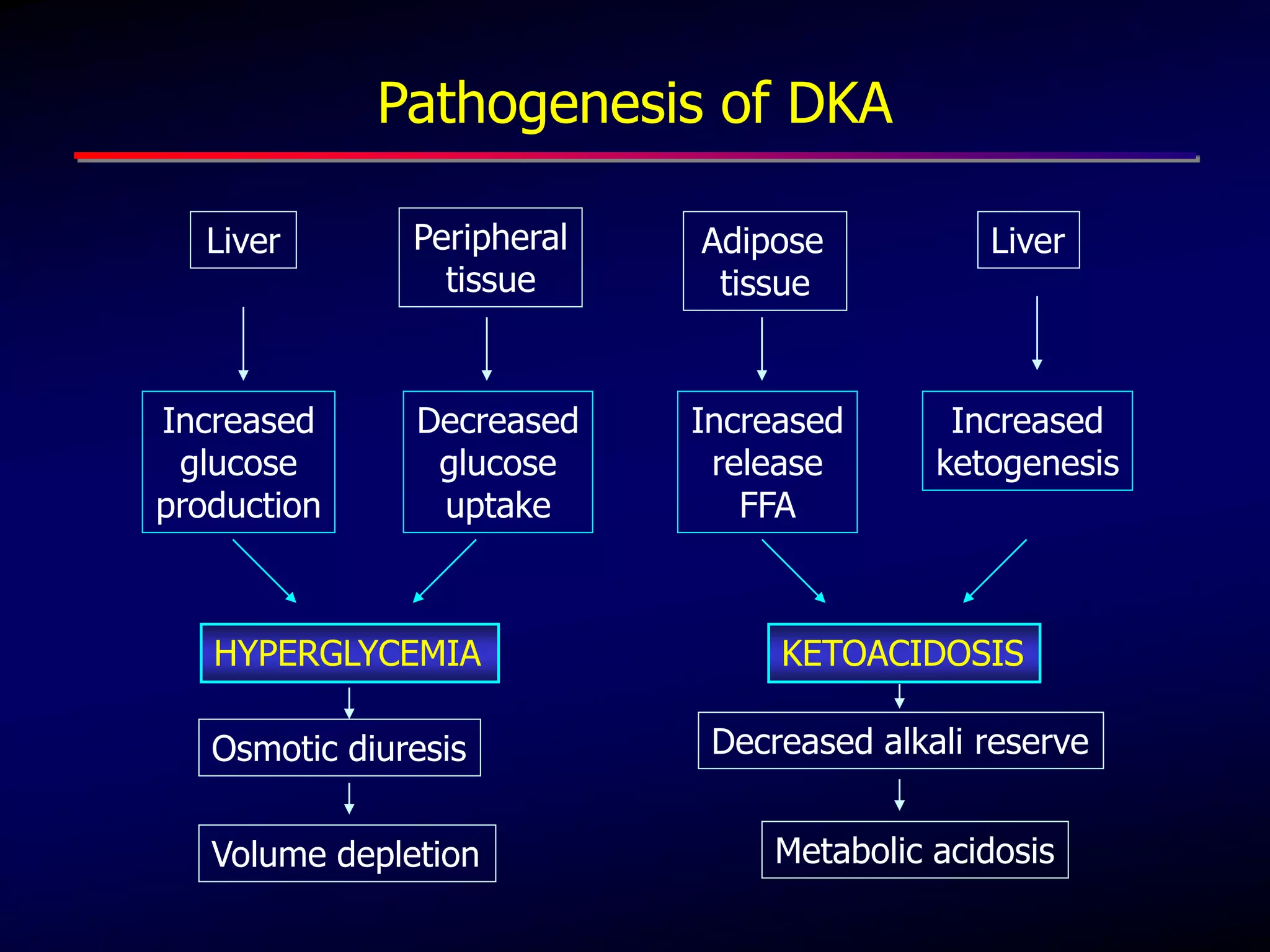 DIABETIC KETOACIDOSIS IN ER | PPT