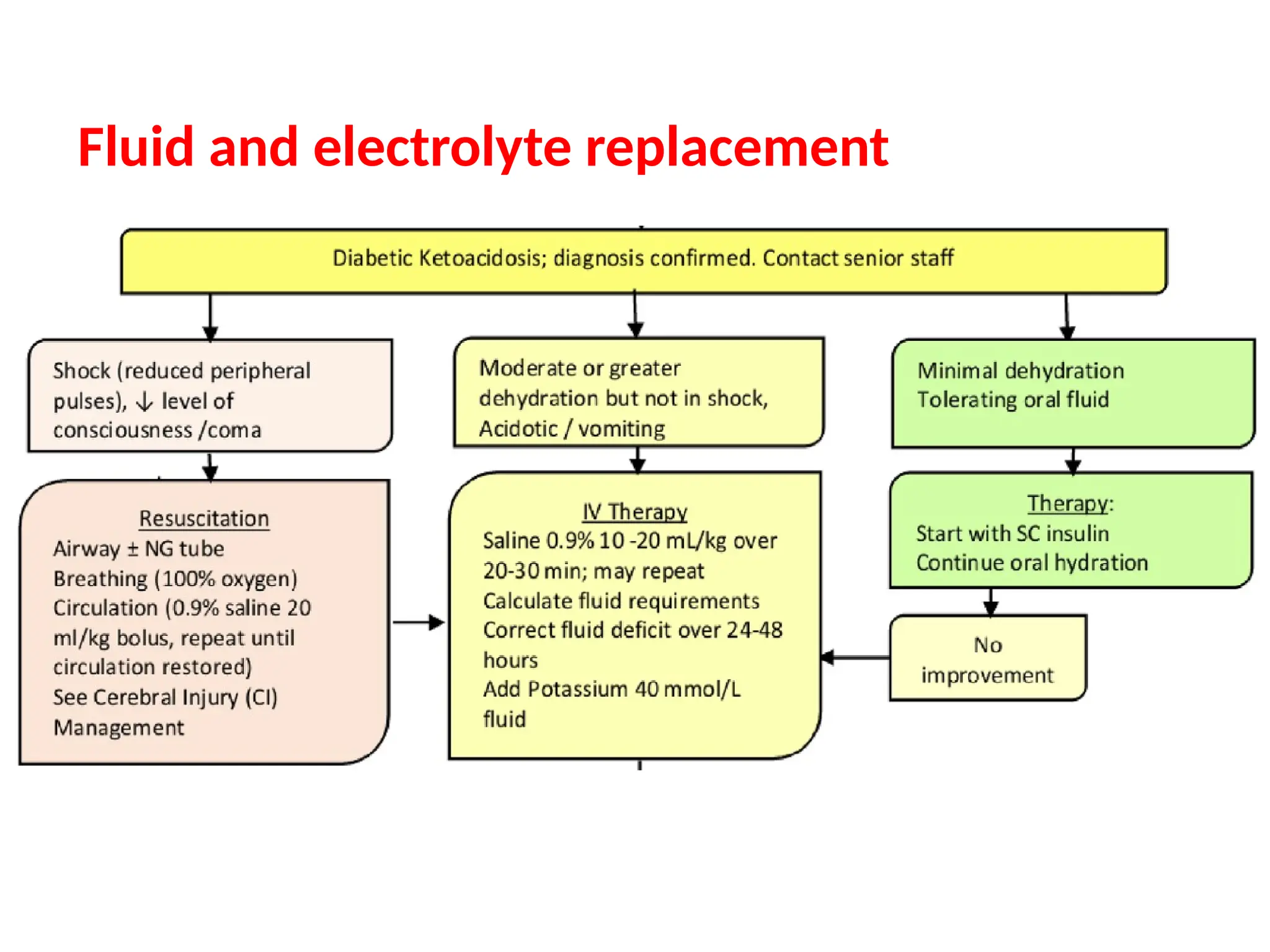 Diabetic Ketoacidosis management in pediatrics | PPTX