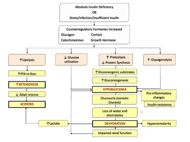 Diabetic Ketoacidosis management in pediatrics | PPT