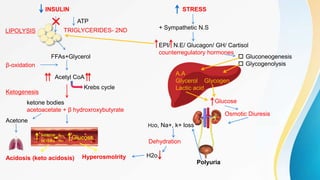 DKA clinical presentation of diabetic keto acidosis | PPT
