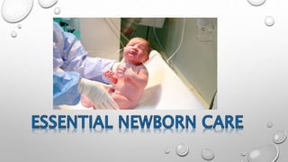 Essential newborn care | PPTX