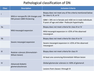 pathophysiology and therapy of diabetic nephropathy | PPTX
