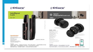 DK_Lights_LaunchPad_new.pptx CREATED BY BRIJESH | PPT