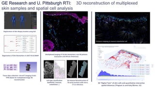 dkNET Webinar: The Human BioMolecular Atlas Program (HuBMAP) 10/14/2022 ...