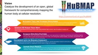 dkNET Webinar: The Human BioMolecular Atlas Program (HuBMAP) 10/14/2022 | PDF