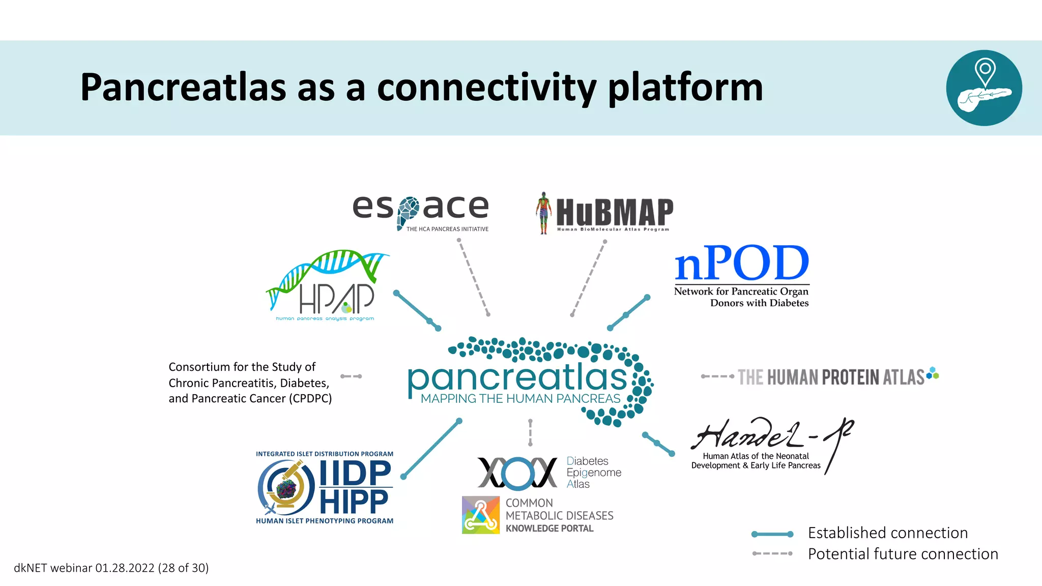 dkNET Webinar "Pancreatlas™: Mapping the Human Pancreas in Health and Disease" 01/28/2022 | PDF ...