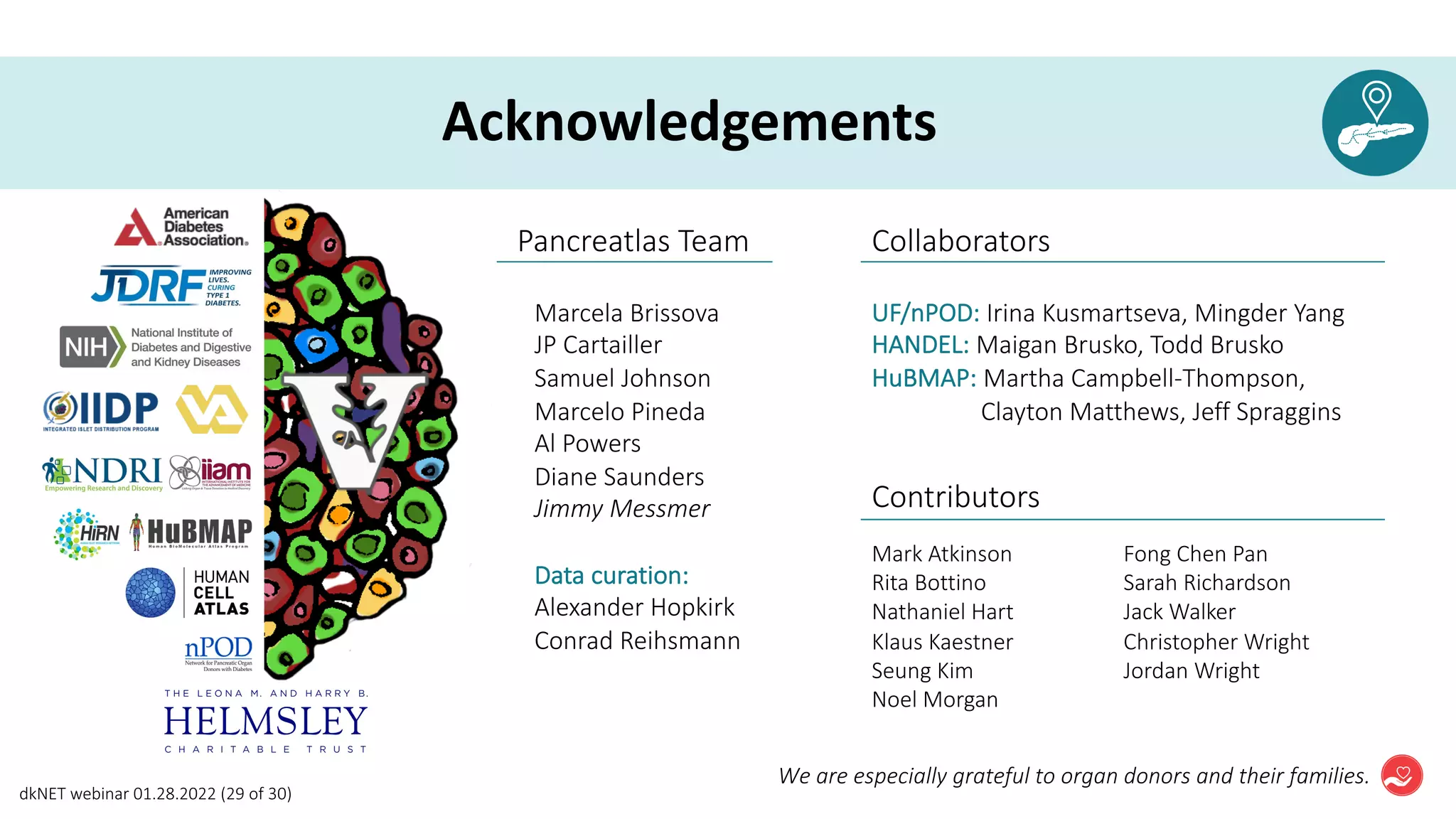 dkNET Webinar "Pancreatlas™: Mapping the Human Pancreas in Health and Disease" 01/28/2022 | PDF ...