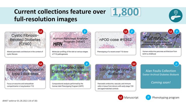 dkNET Webinar "Pancreatlas™: Mapping the Human Pancreas in Health and Disease" 01/28/2022 | PPT