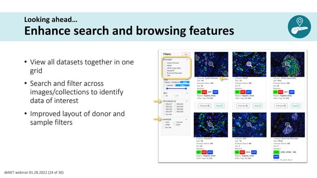 dkNET Webinar "Pancreatlas™: Mapping the Human Pancreas in Health and Disease" 01/28/2022 | PPT