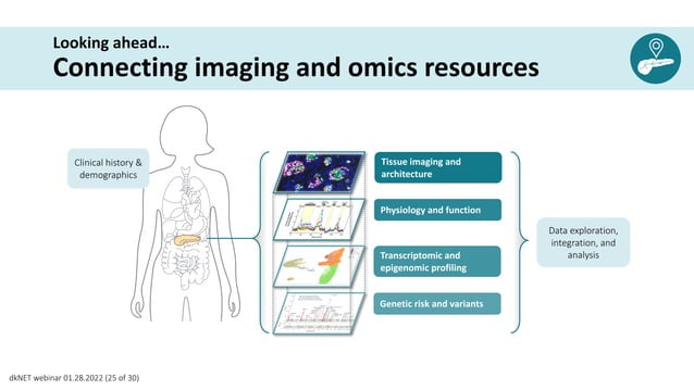 dkNET Webinar "Pancreatlas™: Mapping the Human Pancreas in Health and Disease" 01/28/2022 | PPT