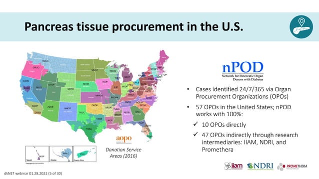 dkNET Webinar "Pancreatlas™: Mapping the Human Pancreas in Health and Disease" 01/28/2022 | PPT