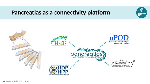 dkNET Webinar "Pancreatlas™: Mapping the Human Pancreas in Health and ...