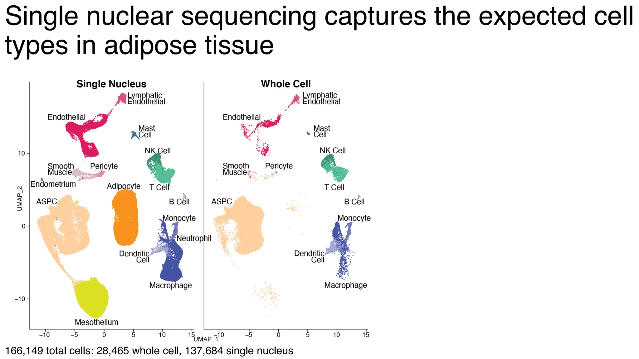 dkNET Webinar: A Single Cell Atlas of Human and Mouse White Adipose ...