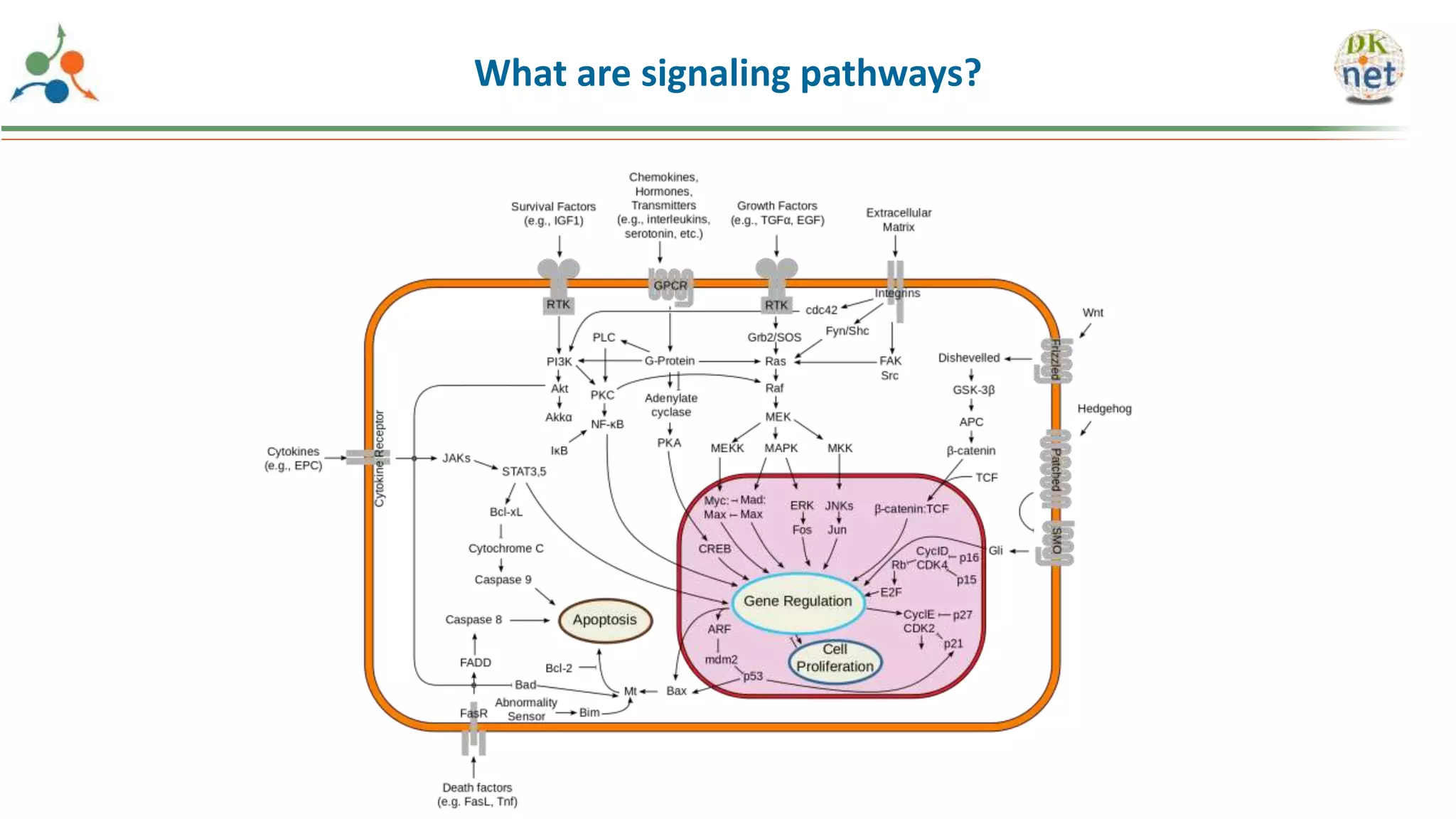Dknet Webinar The Signaling Pathways Project An Integrated ‘omics