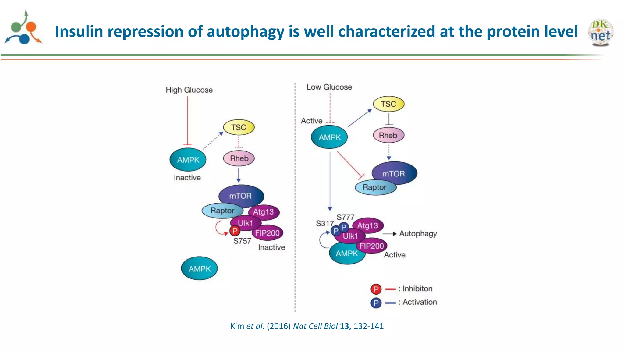 Dknet Webinar The Signaling Pathways Project An Integrated ‘omics