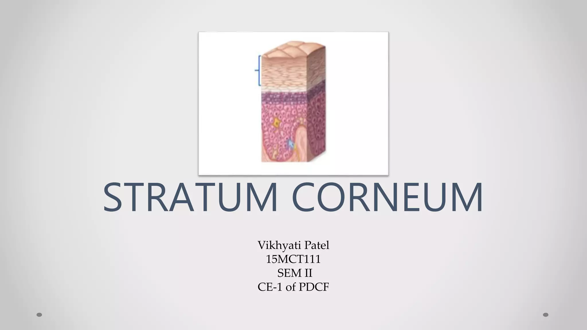 stratum corneum | PPT