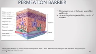 stratum corneum | PPTX