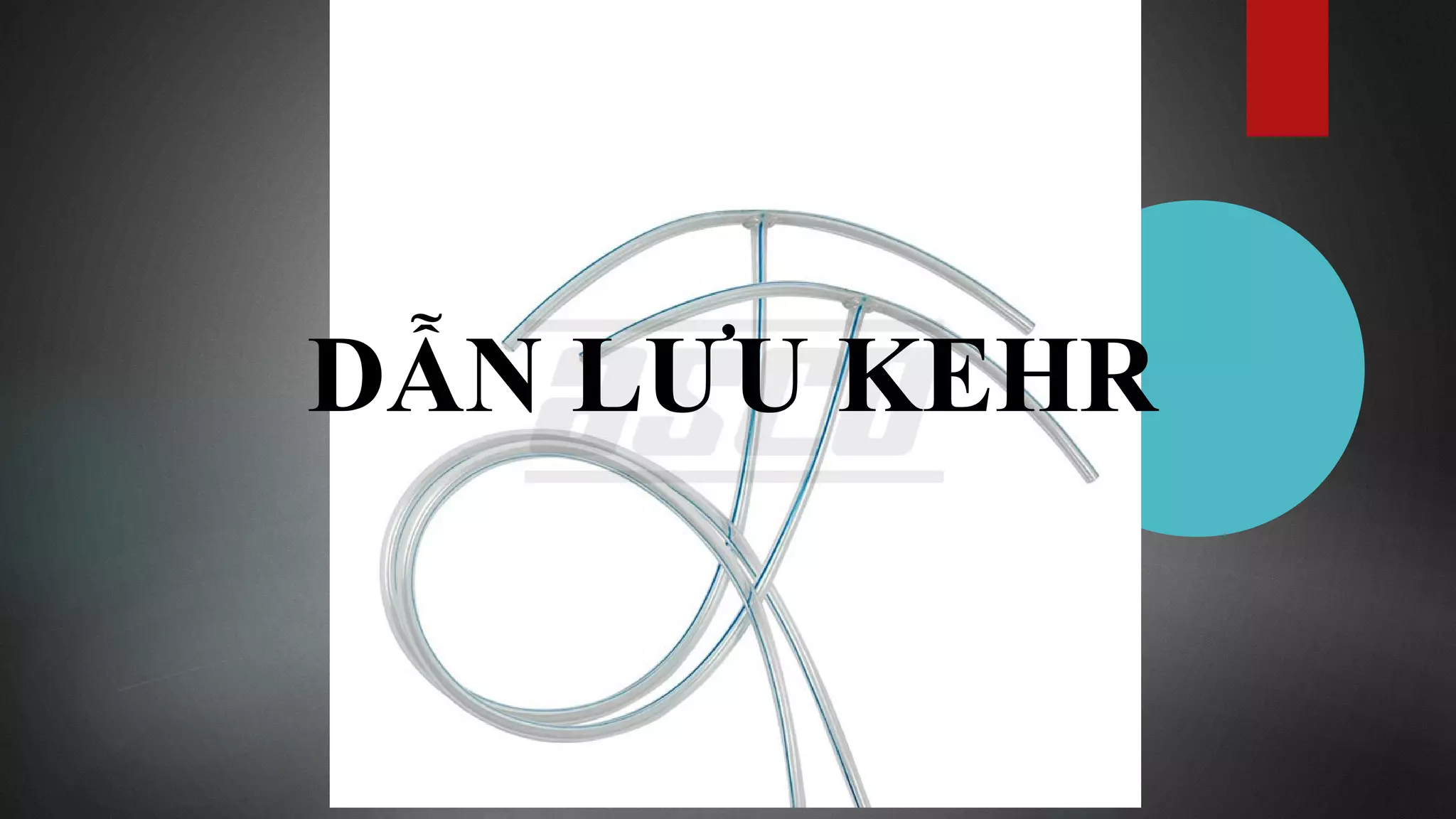 Dẫn lưu kehr | PPT