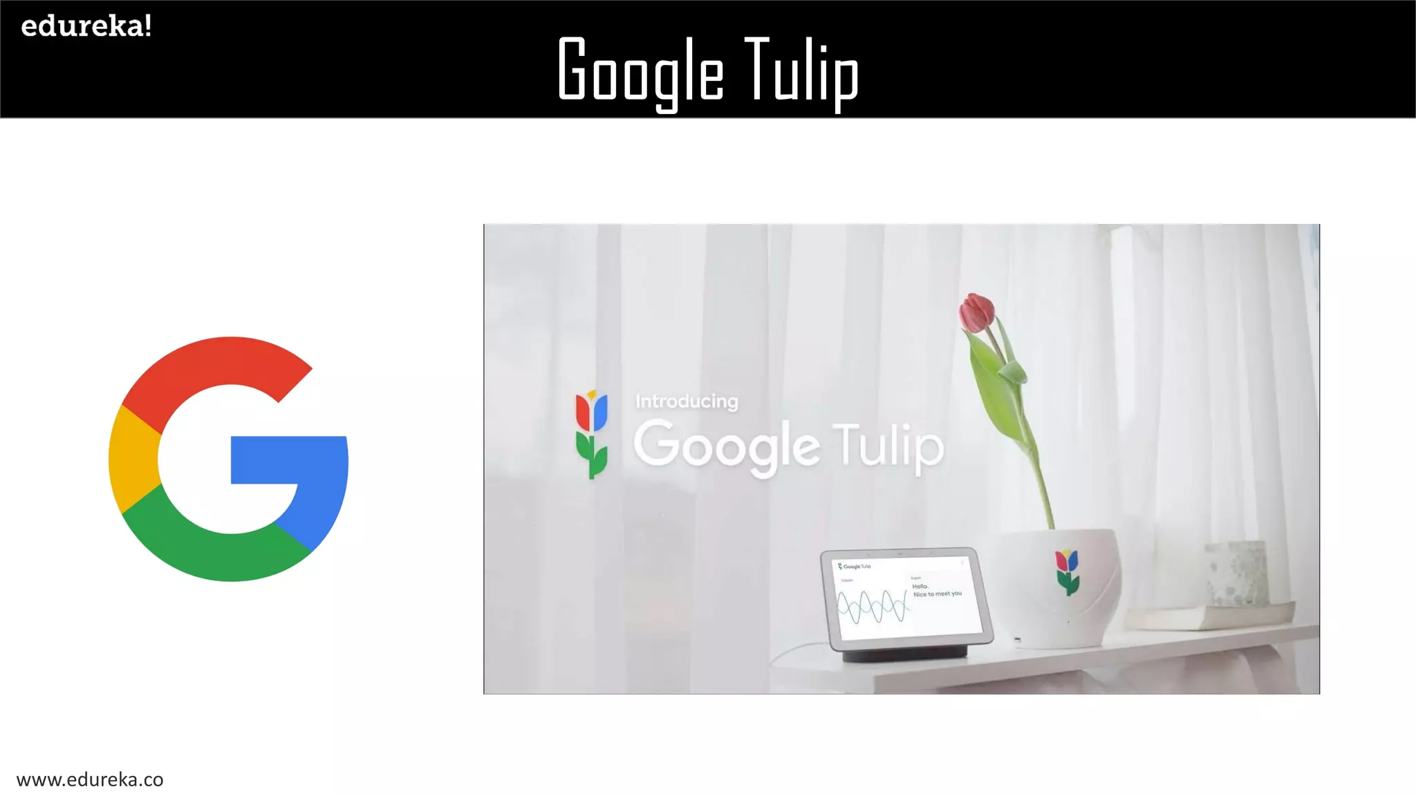 Deep Learning Projects | Edureka | PDF