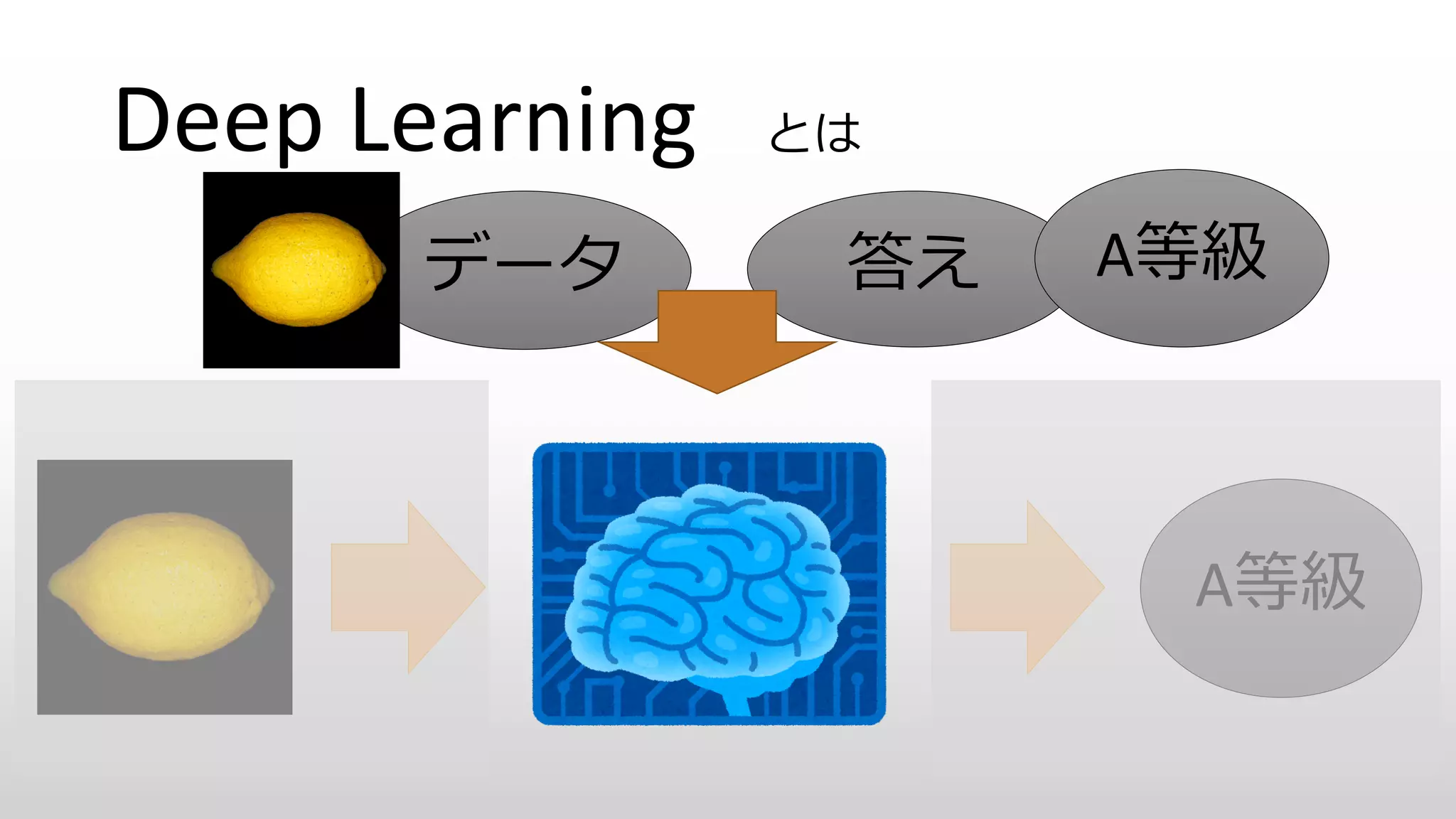 Deep Learning の落とし穴に落ちてみた2019 | PPT