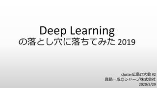Deep Learning の落とし穴に落ちてみた2019 | PPT