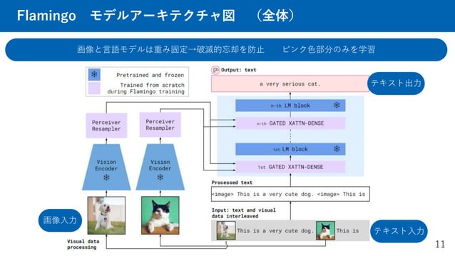 【DL輪読会】Flamingo: a Visual Language Model for Few-Shot Learning 画像×言語の大 ...