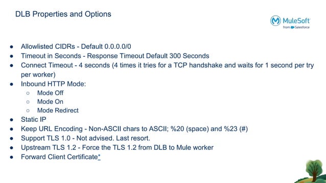 DLB Meetup Mulesoft.pptx