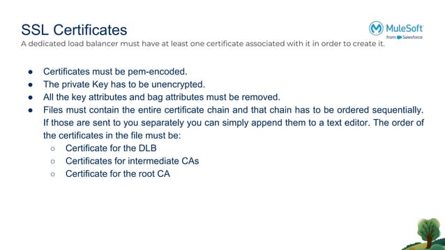 DLB Meetup Mulesoft.pptx